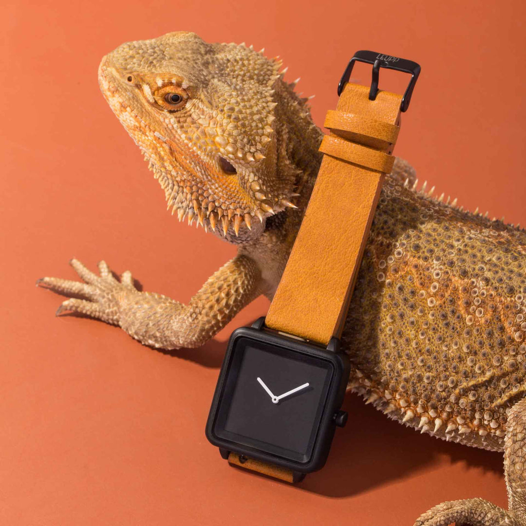 Our Materials – LEUPP Watch